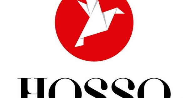 hosso logo – mesa 24/7